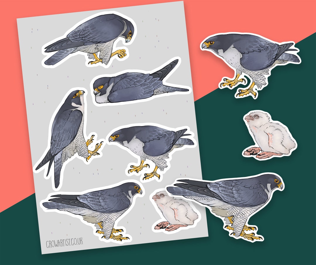Peregrine Falcon Sticker Sheet - Bullet Journal, Planner Stickers ...