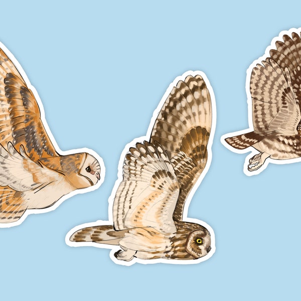 Owl Sticker - Etsy UK