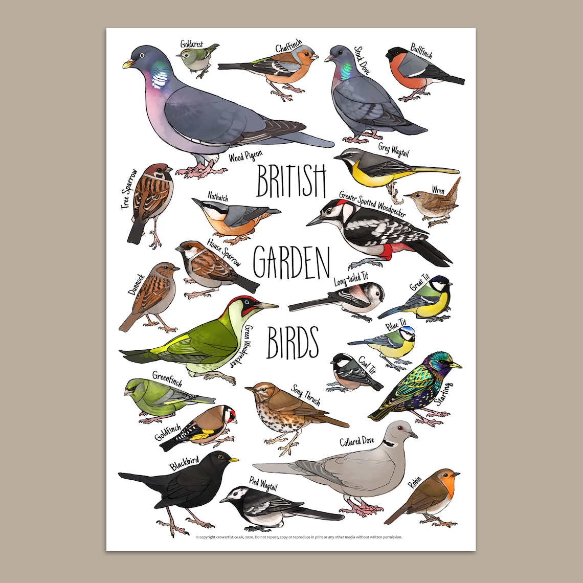 British Garden Birds Identification Print Featuring Common Birds Seen ...