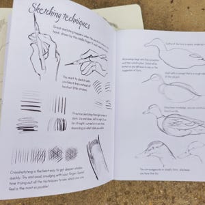 How to Draw Birds for Beginners in Observational or Field Sketching ...