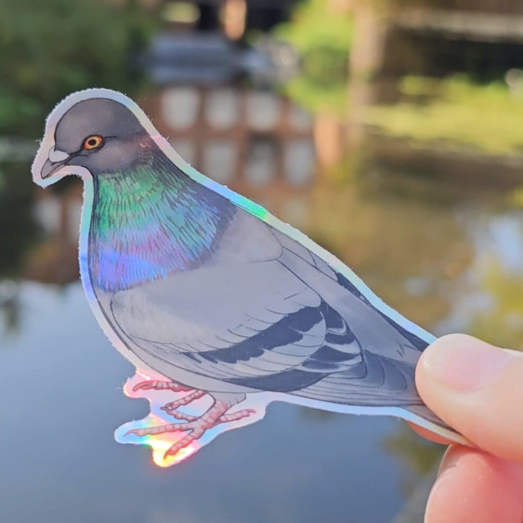 Holographic Pigeon Stickers Including the Victoria Pigeon, Wood Pigeon ...