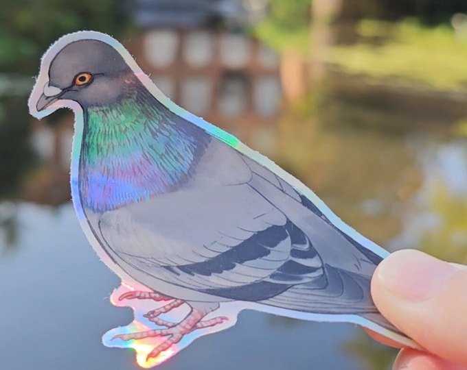 City Bird Stickers PIGEONCROWSPARROW - Etsy