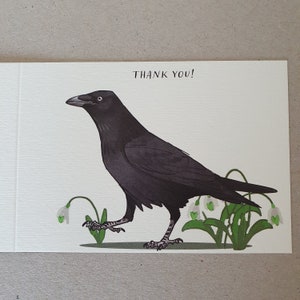 Corvids Crows Good Luck, Birthday, Thank You, Have a Good Day, Enjoy ...