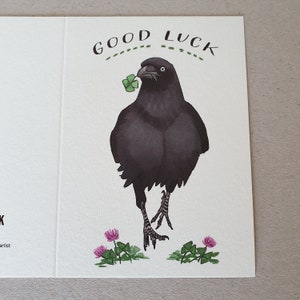 Corvids Crows Good Luck, Birthday, Thank You, Have a Good Day, Enjoy ...