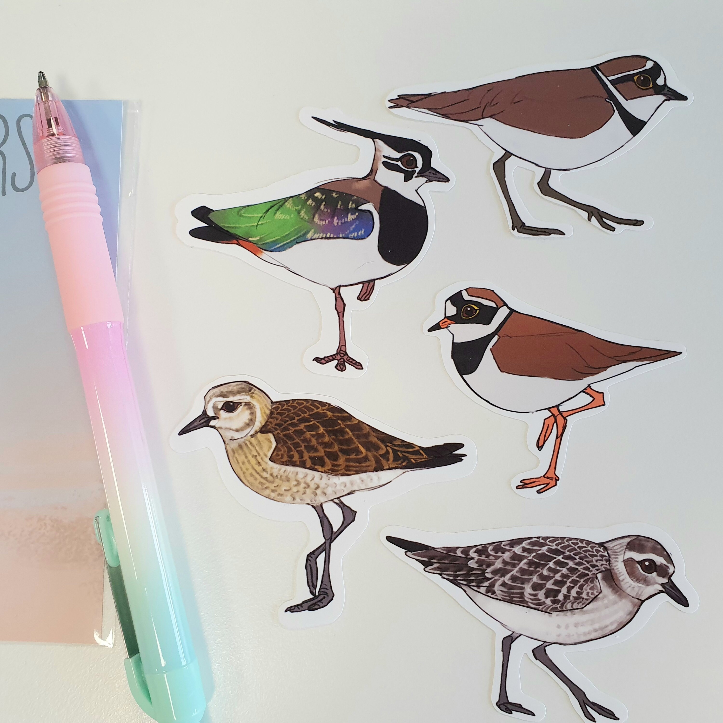 Waders and Wading Bird Set of 6 Stickers Vinyl Waterproof - Etsy UK