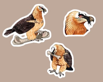 Primitive Vulture - Etsy