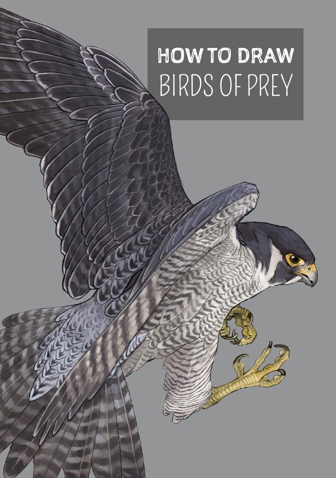 How to Draw: Birds of Prey Anatomy Art Book - Etsy