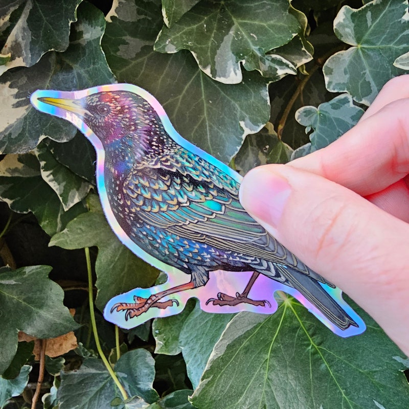 Vinyl Birds - Etsy UK