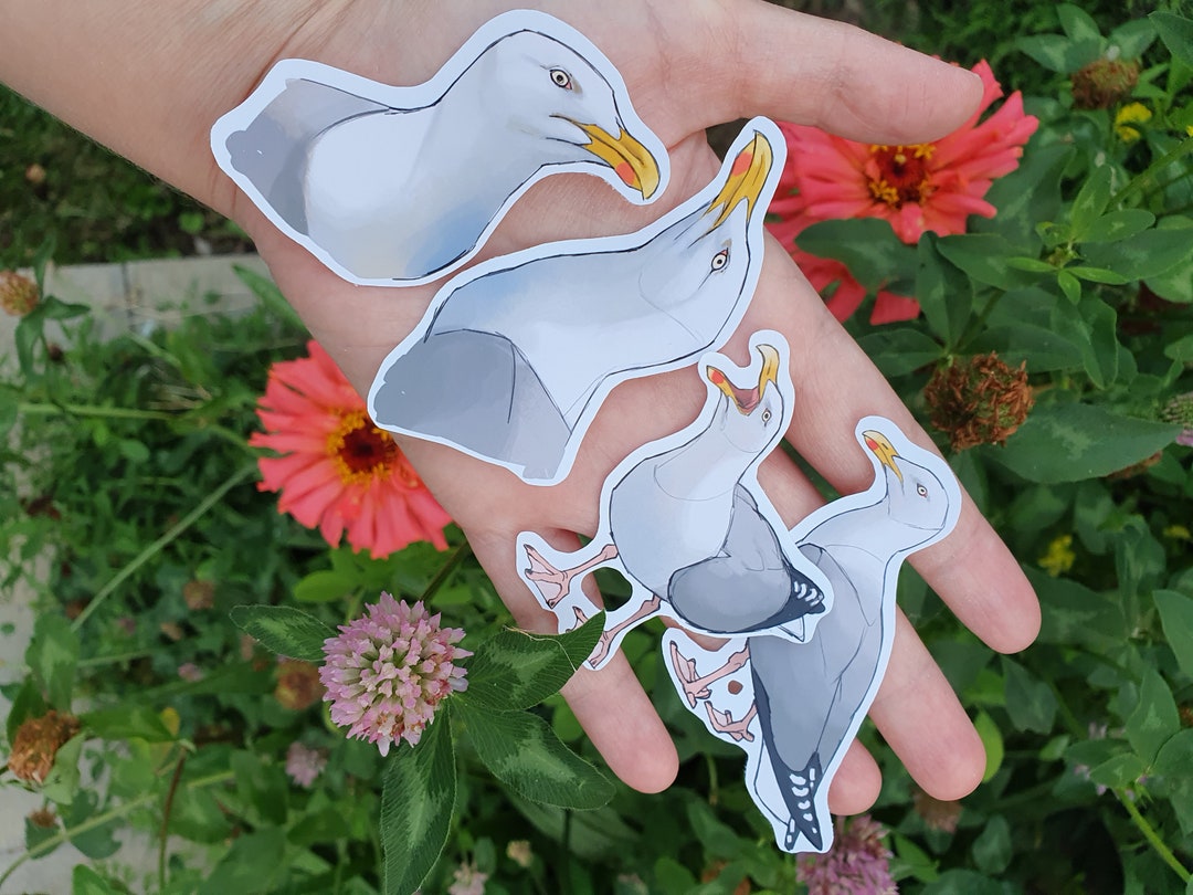 Stickers: Herring Gull | Seagull | Seabird Medium Sized Vinyl ...