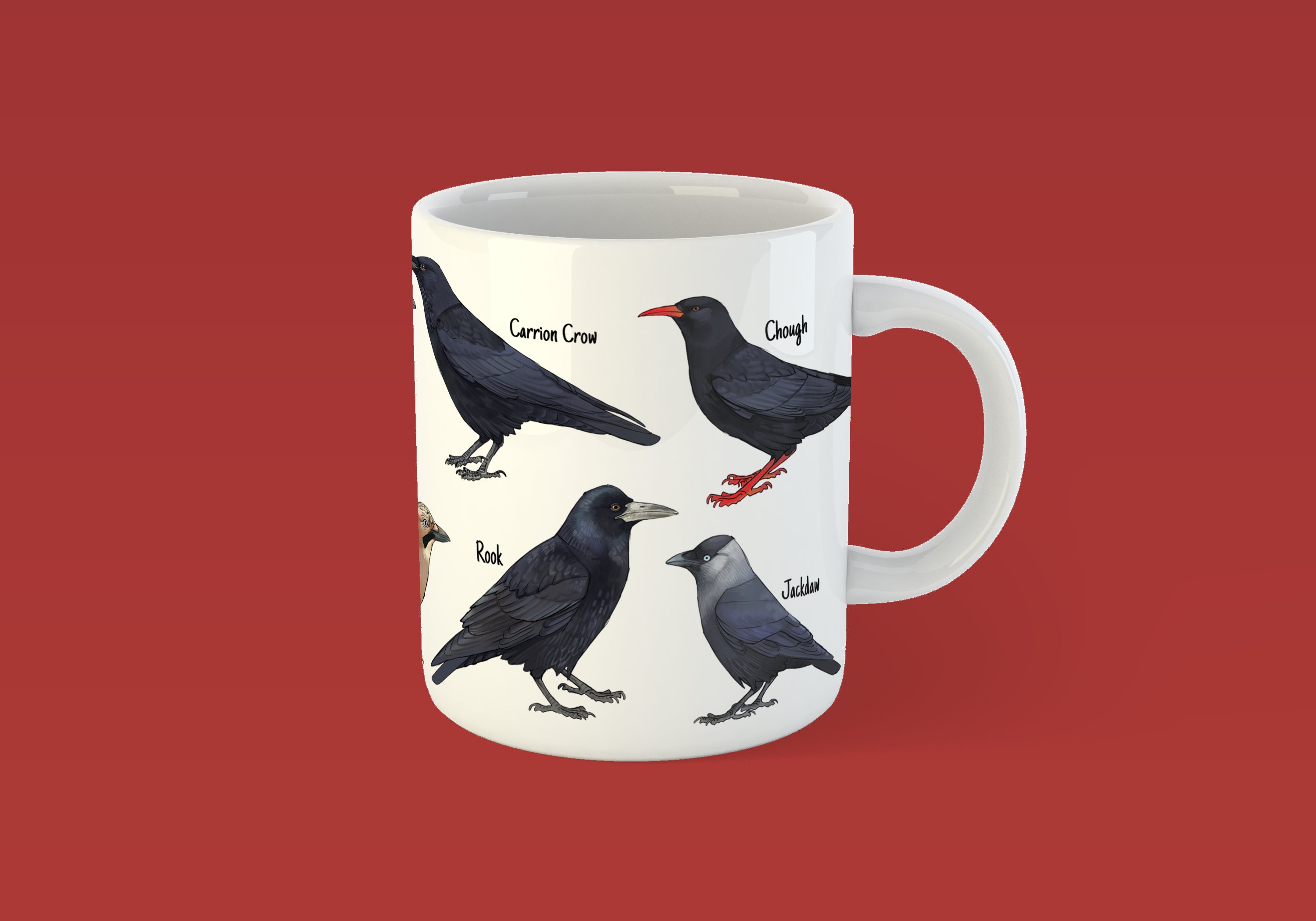 British Corvid Species Ceramic Mug | Raven | Crow | Jackdaw | Chough ...