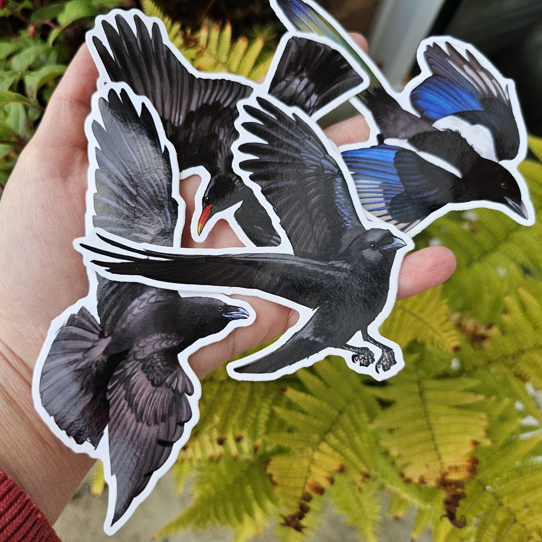 Corvid Stickers That Are Large Featuring the Crow, Raven, Magpie and ...