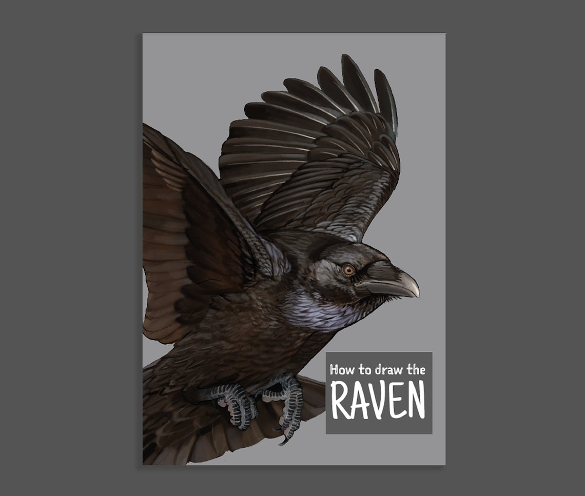 How to Draw Ravens: Anatomy and Wings - Etsy UK