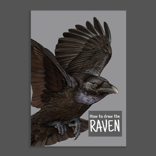 How to Draw Ravens: Anatomy and Wings - Etsy UK