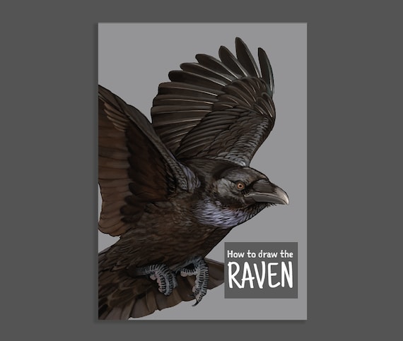 Raven Bird Face Drawing