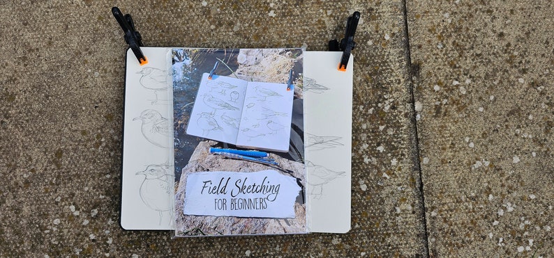 How to Draw Birds for Beginners in Observational or Field Sketching ...