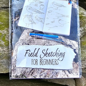 How to Draw Birds for Beginners in Observational or Field Sketching ...