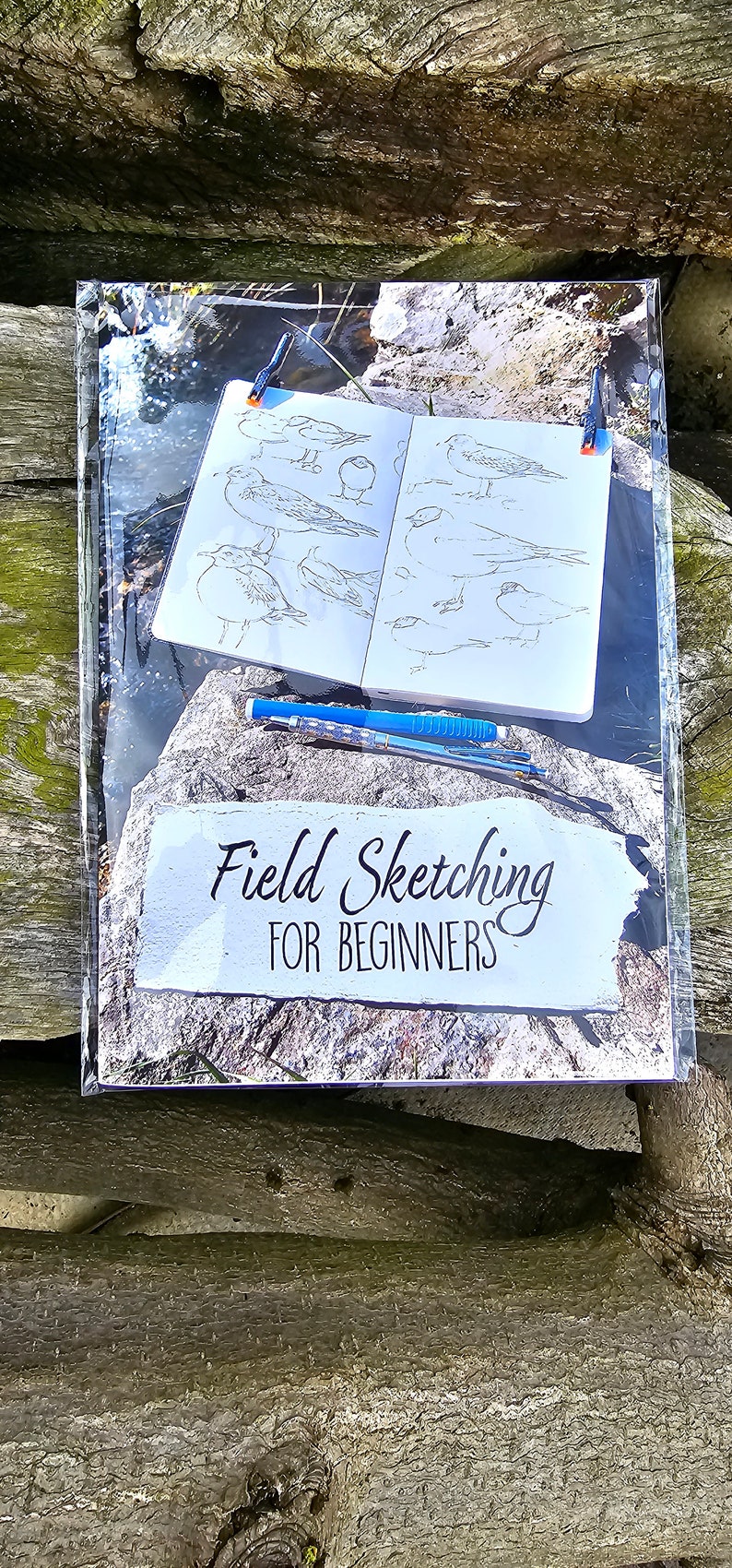 How to Draw Birds for Beginners in Observational or Field Sketching ...