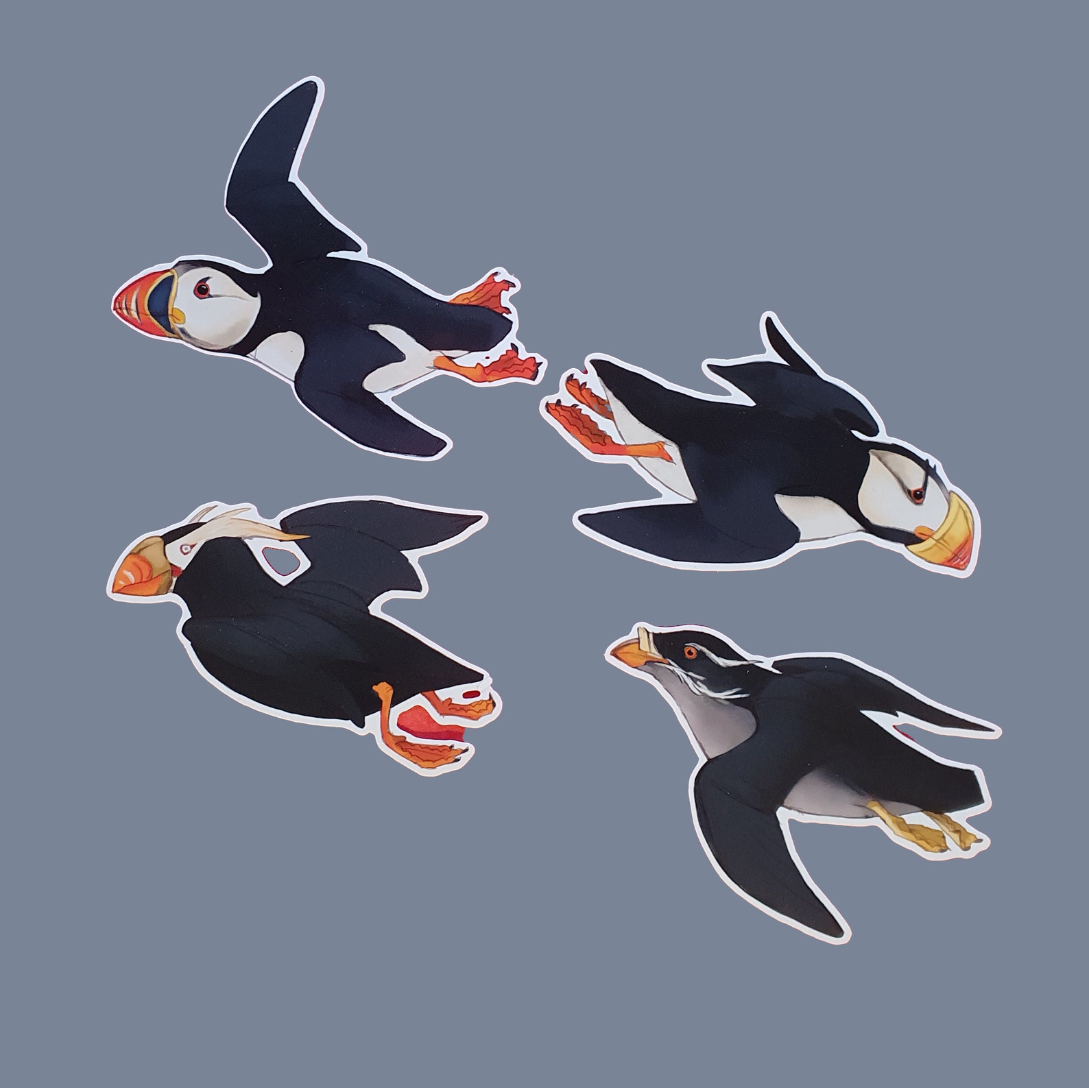 Puffin Stickers flying or swimming set of 4 Atlantic | Etsy