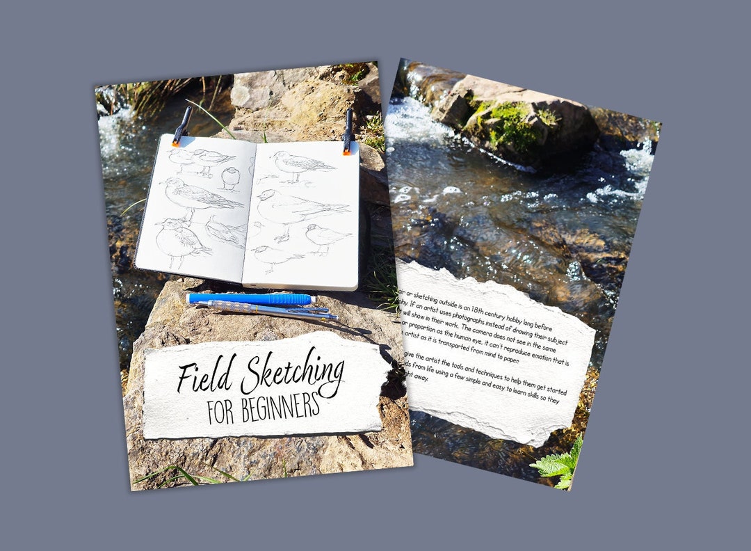 How to Draw Birds for Beginners in Observational or Field Sketching ...