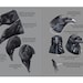 How to Draw Ravens: Anatomy and Wings - Etsy UK