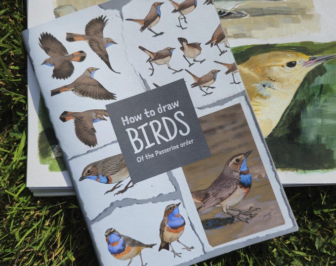 How to Draw a Simple Bird for Kids, Directed Drawing Step by Step ...
