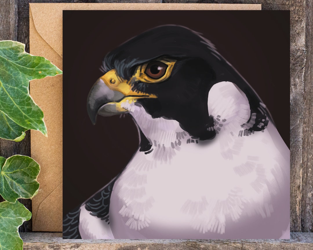 Peregrine Falcon Greeting Card | Birds - Etsy