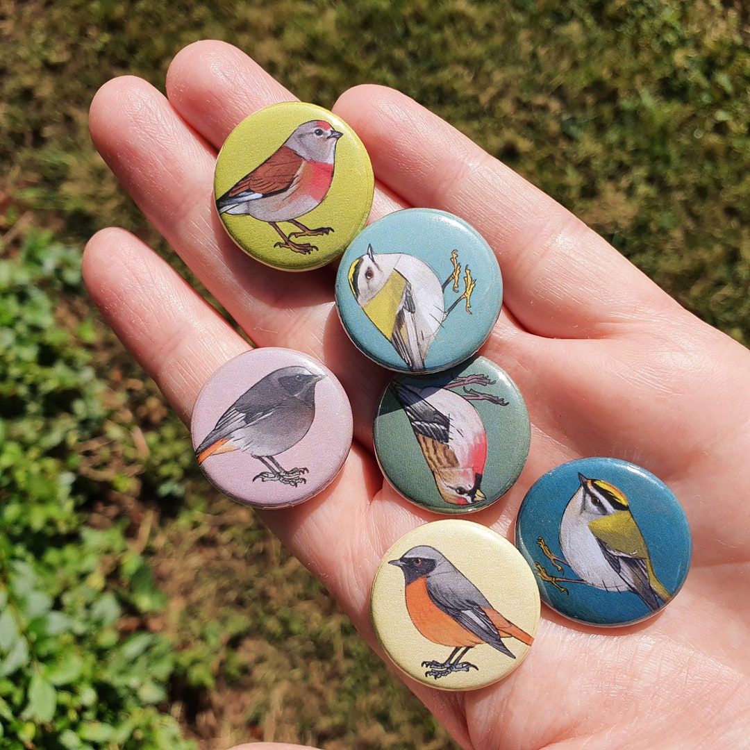 6 Woodland Birds Badges Set Goldcrest Firecrest Redstart Black Redstart ...