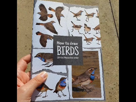 How to draw birds: Of the passerine order | Etsy