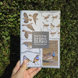 How to Draw Birds: of the Passerine Order - Etsy