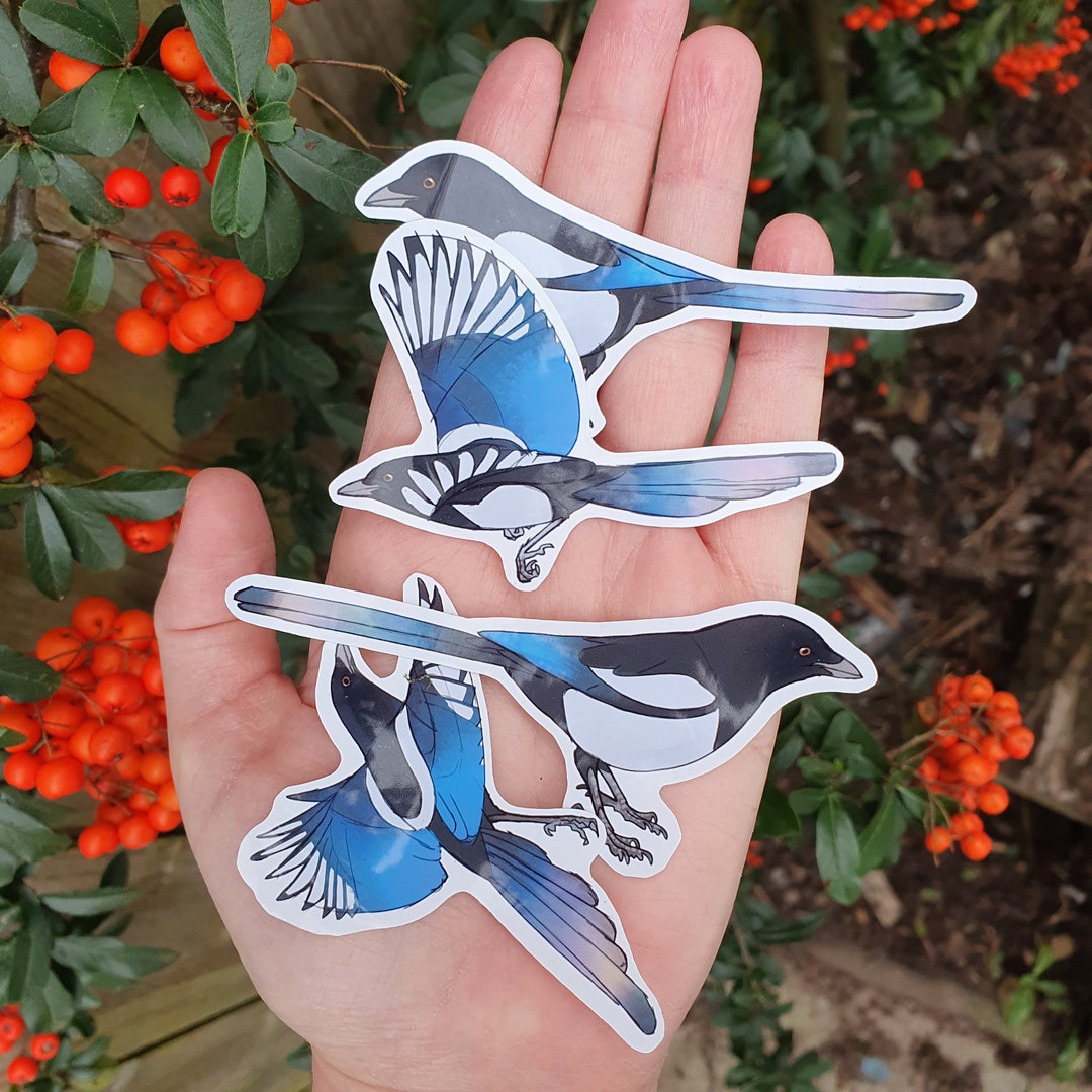 Magpie Stickers Set 2020: Magpie | Set of 4 Stickers Vinyl Waterproof ...