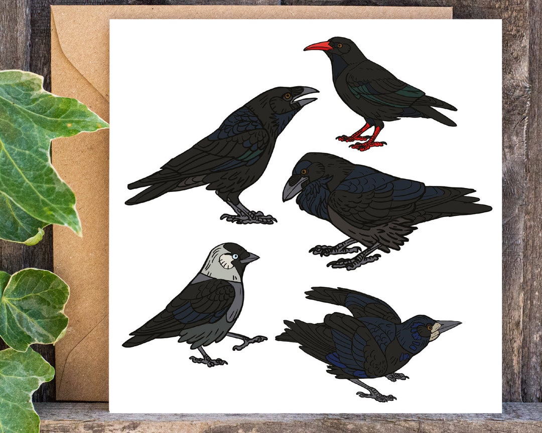 Crow Greeting Card | Chough | Raven | Jackdaw | Rook | Corvid - Etsy