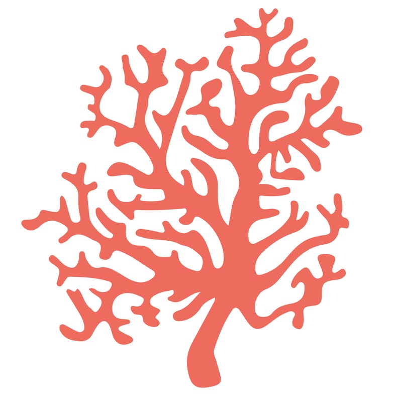 Coral - Reusable Stencil Pattern - 10 Mil Clear Mylar - Etsy