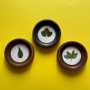 Round Frame Round Wall Decor Housewarming Gift Collage Frame Collection ...
