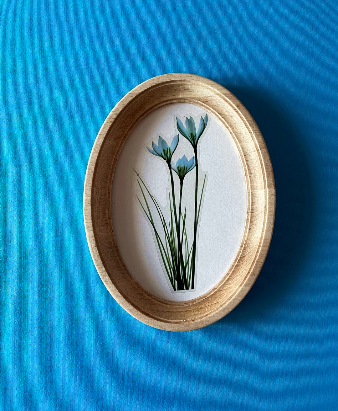 Natural Oval Frame Oval Photo Frame Oval Picture Frame Frame for ...