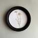 Black Round Frame Round Picture Frame Embroidery Frame Picture Frames ...