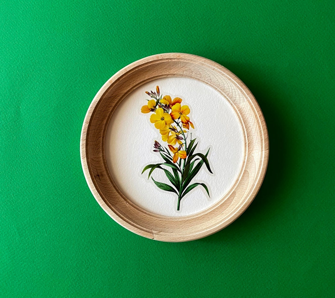 5 X 5 Inches Round Frame Wooden Photo Frame Frame Picture - Etsy