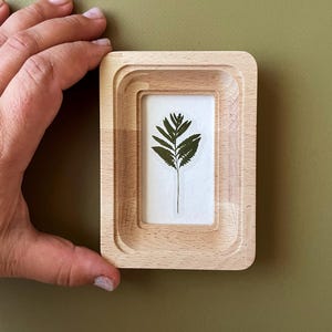 Set Mini Frames , Photo Frame With Round Corners, Forphotos Dimensions ...