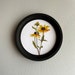 Black Round Frame, Round Picture Frame, Embroidery Frame, Picture ...