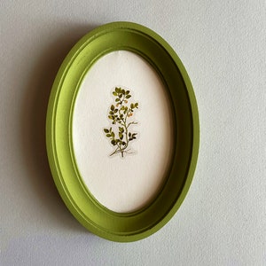 Olive Oval Frame Wooden Photo Oval Frame Size 3 х 5 4 X 6 5 X 7 6 X 8 8 ...