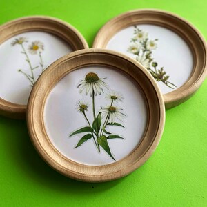 Natural Wooden Picture Frame, Round Frames, Round Photo Frame, Circle ...