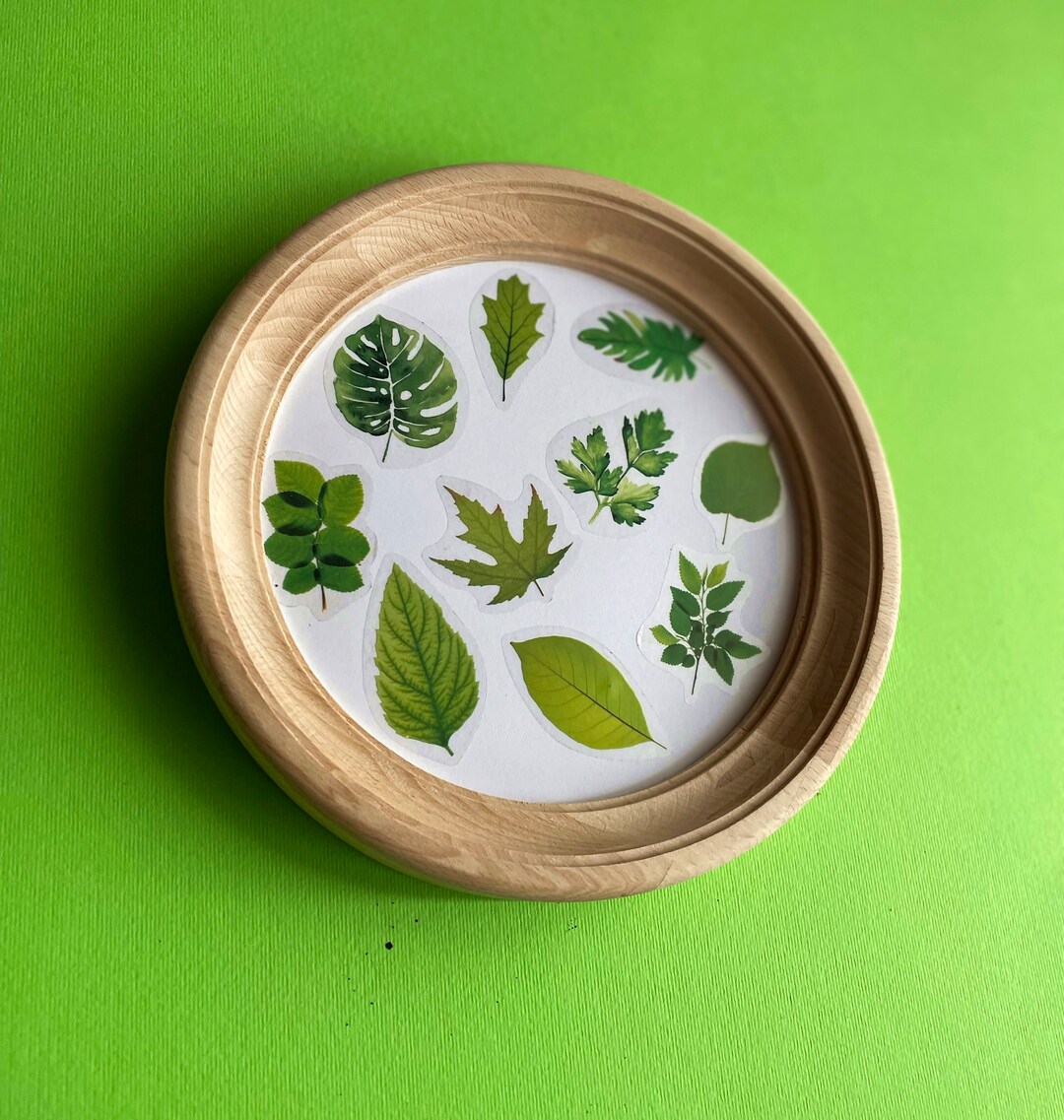 Round Frame, Round Picture Frame, Embroidery Frame Round Picture Frames ...