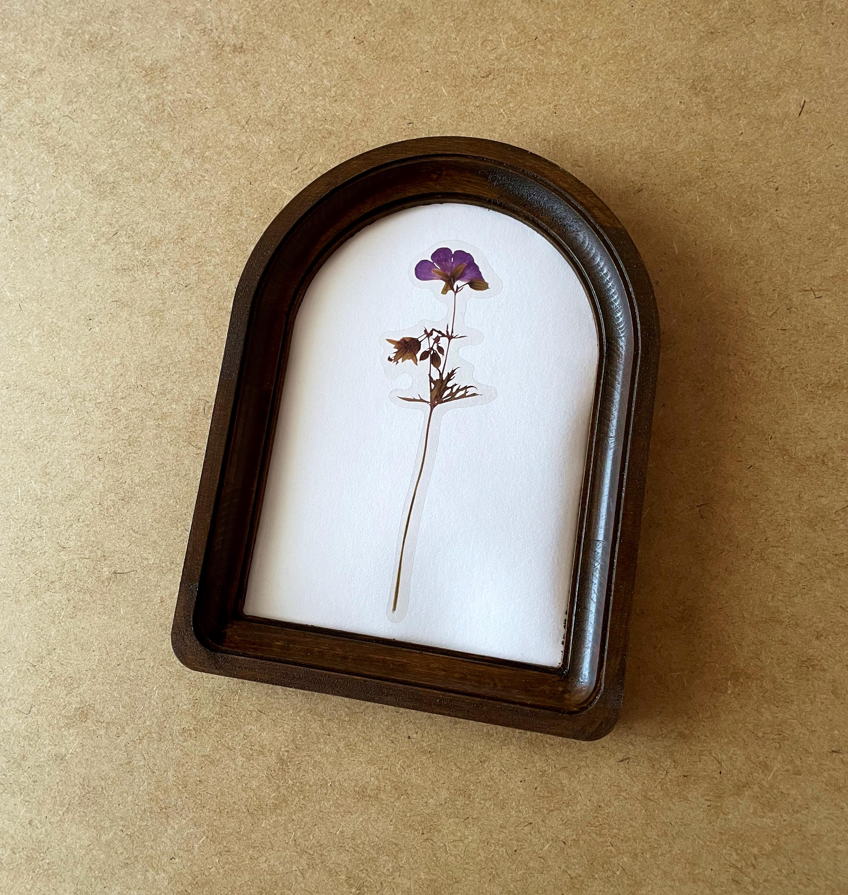 Oval Arch Frame, Brown Arched Frame, Picture Frames, Classic Photo ...