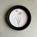 Black Round Frame Round Picture Frame Embroidery Frame Picture Frames ...