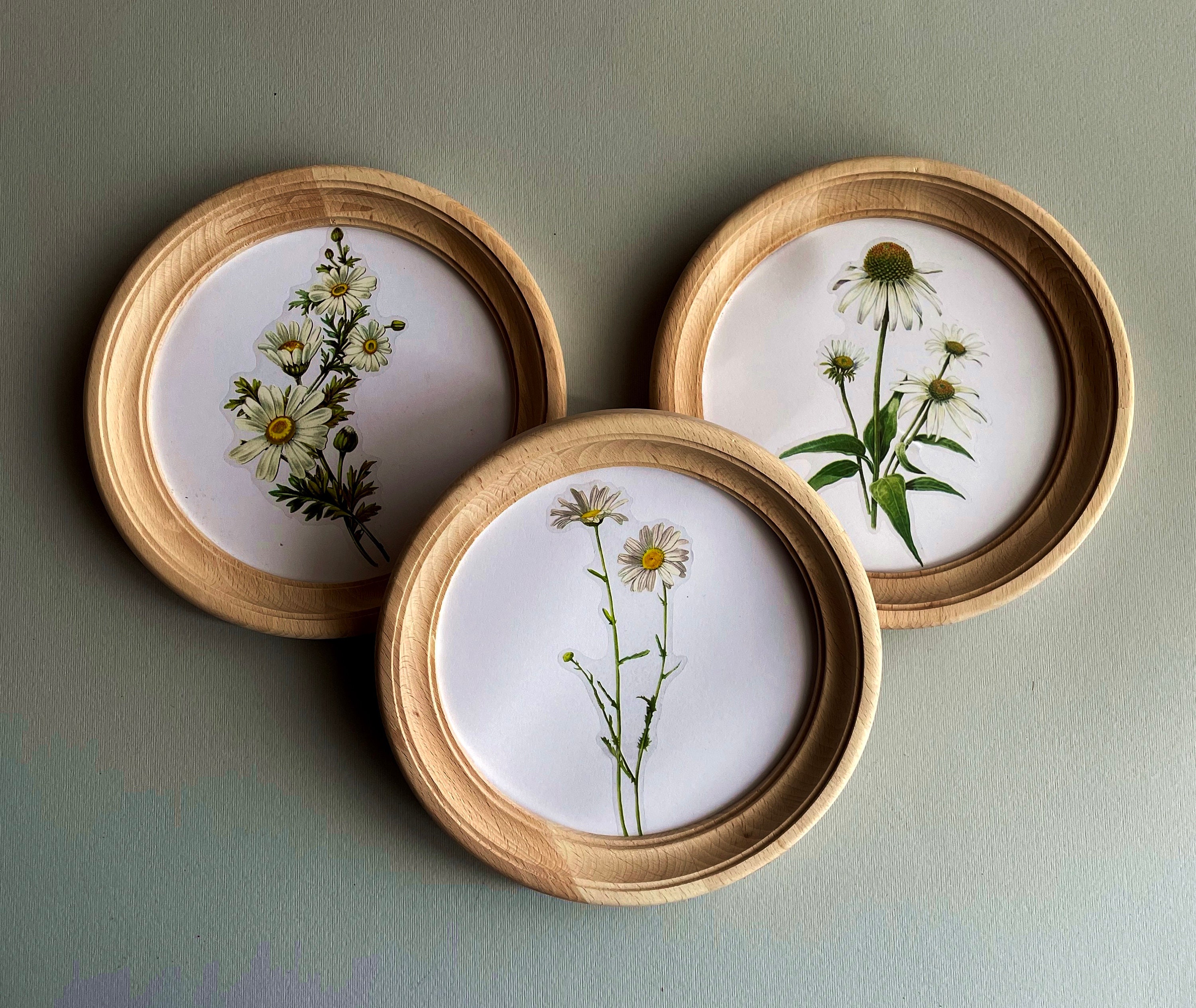 Round Picture Frame, Natural Wooden Round Photo Frames All Sizes 2-16 ...