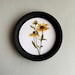 Black Round Frame, Round Picture Frame, Embroidery Frame, Picture ...