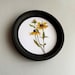 Black Round Frame, Round Picture Frame, Embroidery Frame, Picture ...