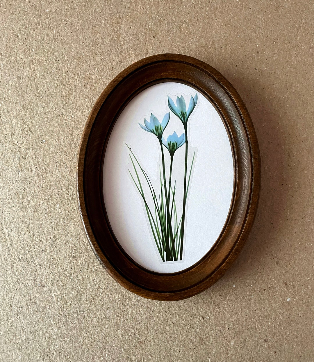 Brown Oval Photo Frame Oval Wood Frame Oval Frame 3 х 5 4 X 6 Oval ...