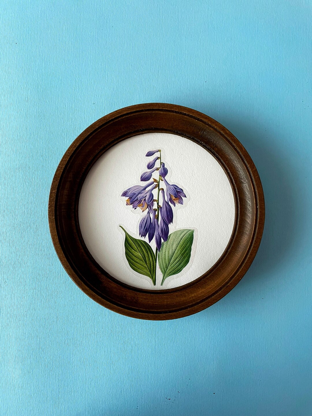 Round Picture Frame Brown Circle Frame Sizes 2-16 Inches - Etsy