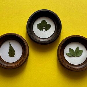 Round Frame Round Wall Decor Housewarming Gift Collage Frame Collection ...