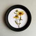 Black Round Frame, Round Picture Frame, Embroidery Frame, Picture ...